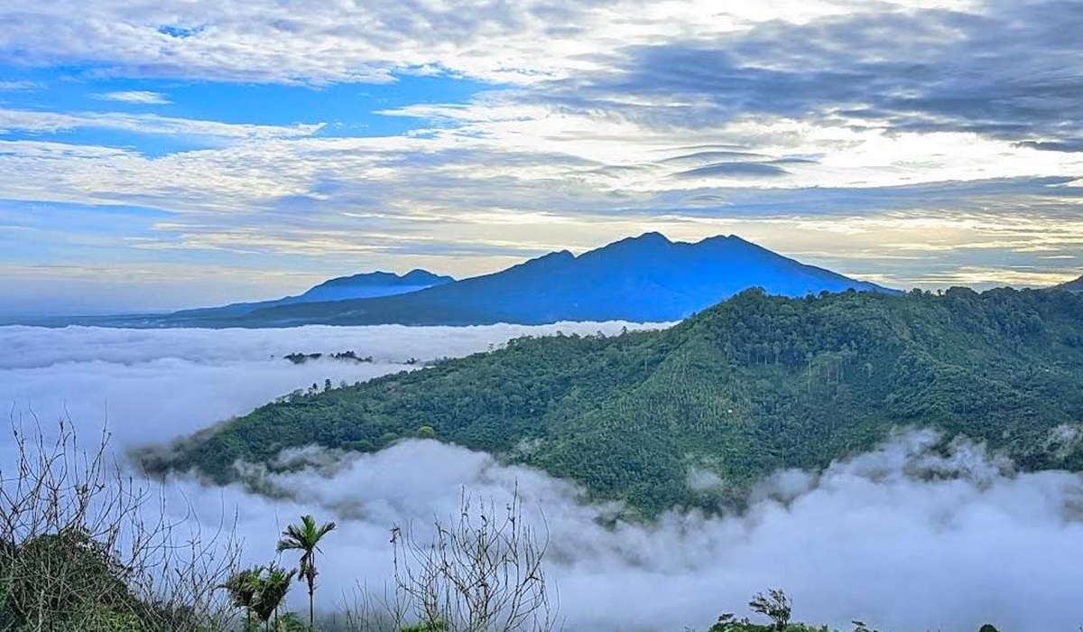 6 Destinasi Wisata Terbaik Daerah Pringsewu Lampung, Tawarkan Keindahan ...